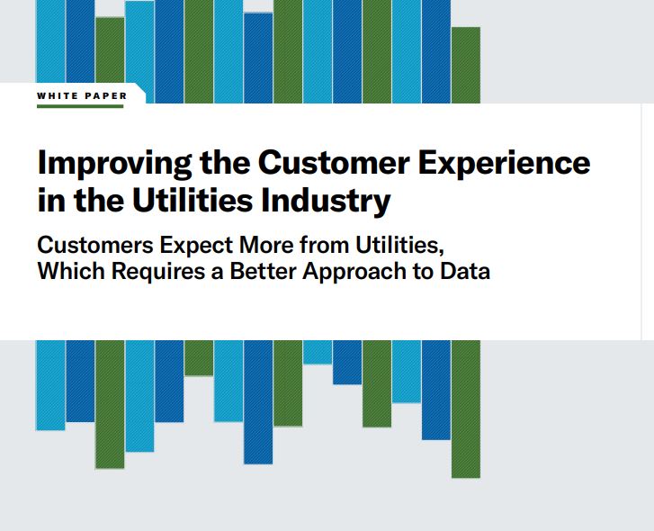 (IS-2021-200) Improving the Customer Experience in the Utilities ...